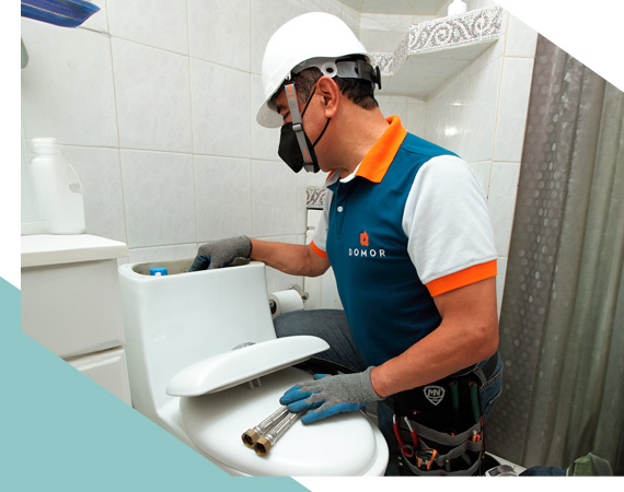 DOMOR – Arquitectura y Construcción